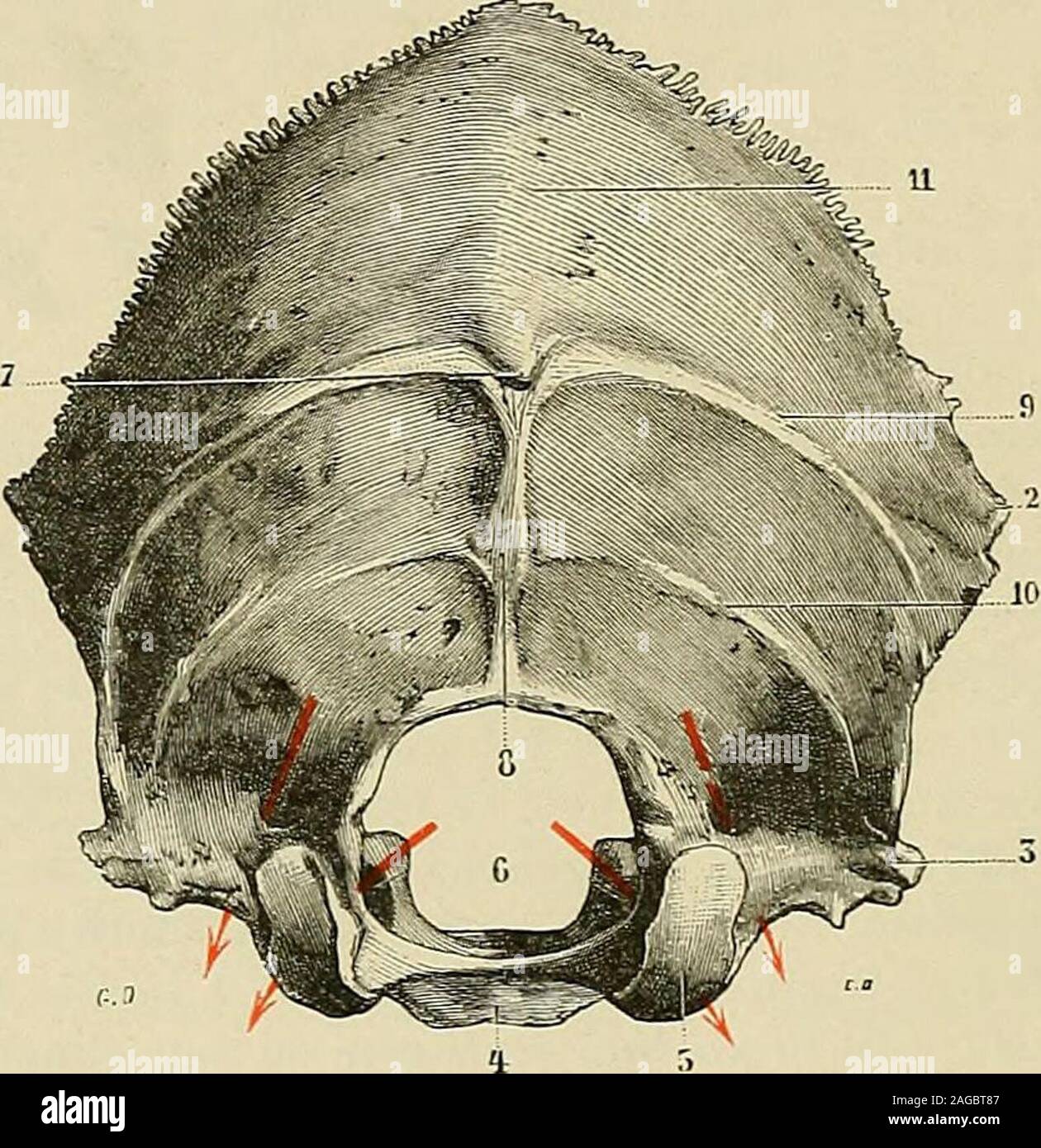 Ligne courbe hi-res stock photography and images - Alamy