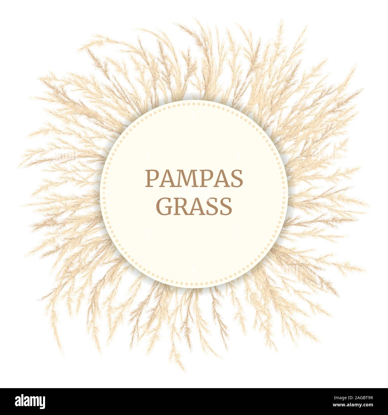 Silver golden Pampas grass Card template with copy space. Vector ...