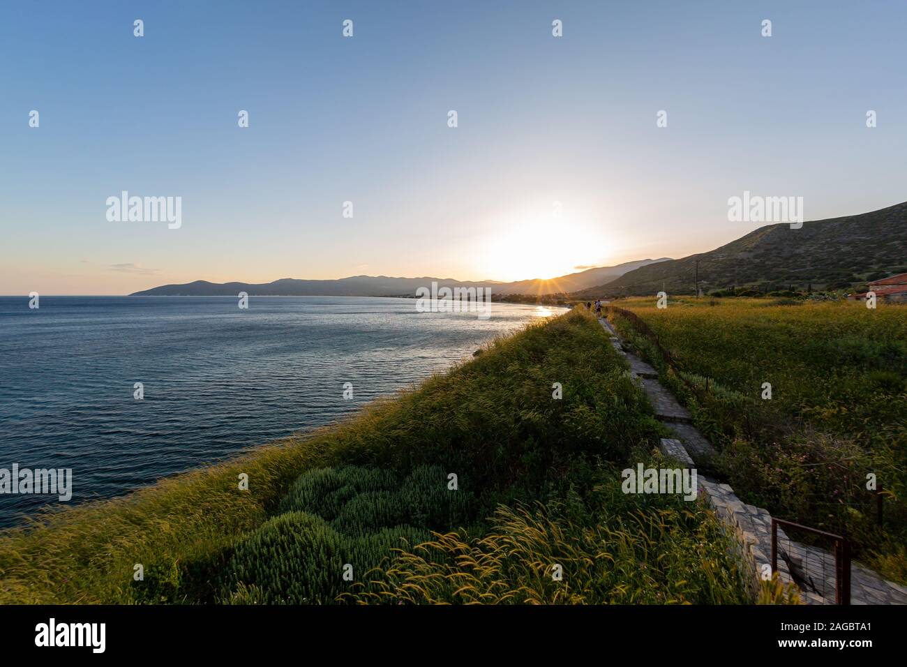 Beautiful grass covered beach by the calm ocean under the sunset ...