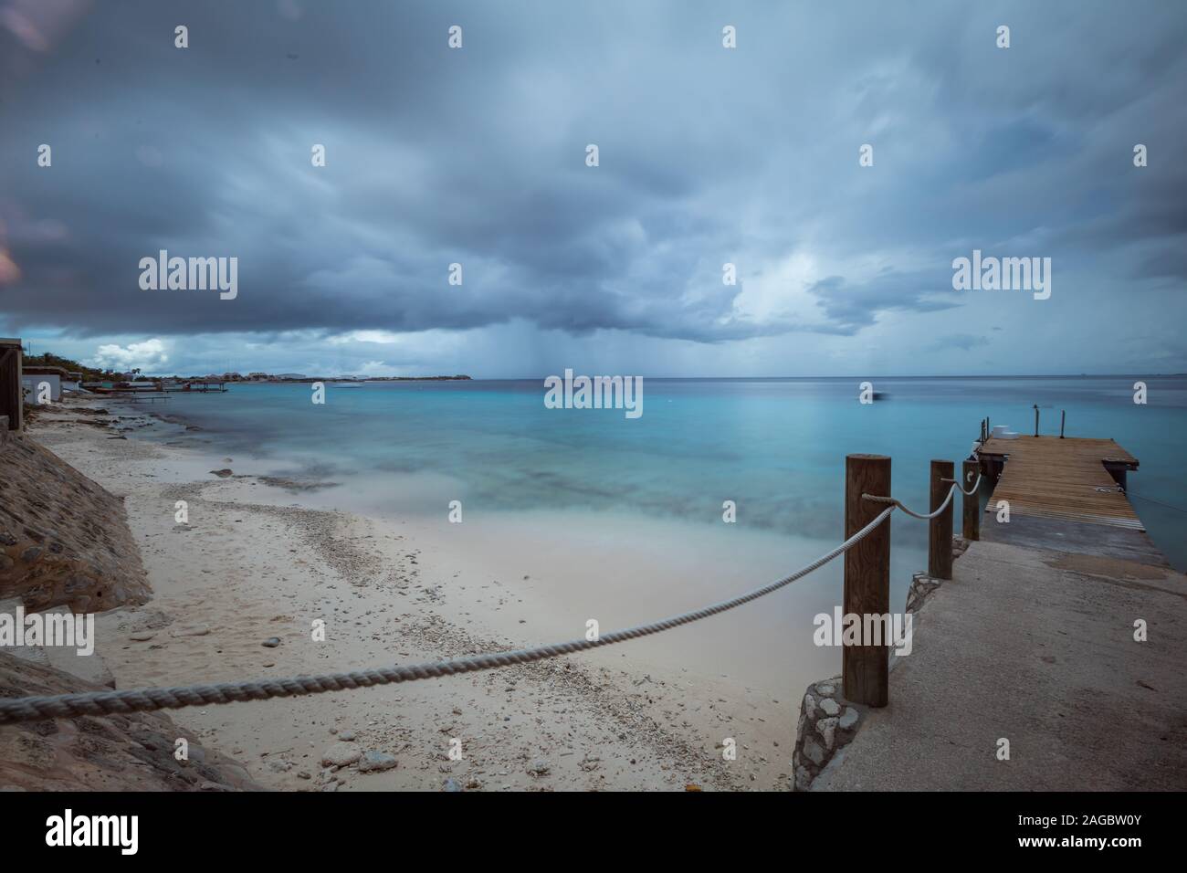 Schooling fish bonaire fish fish hi-res stock photography and images ...