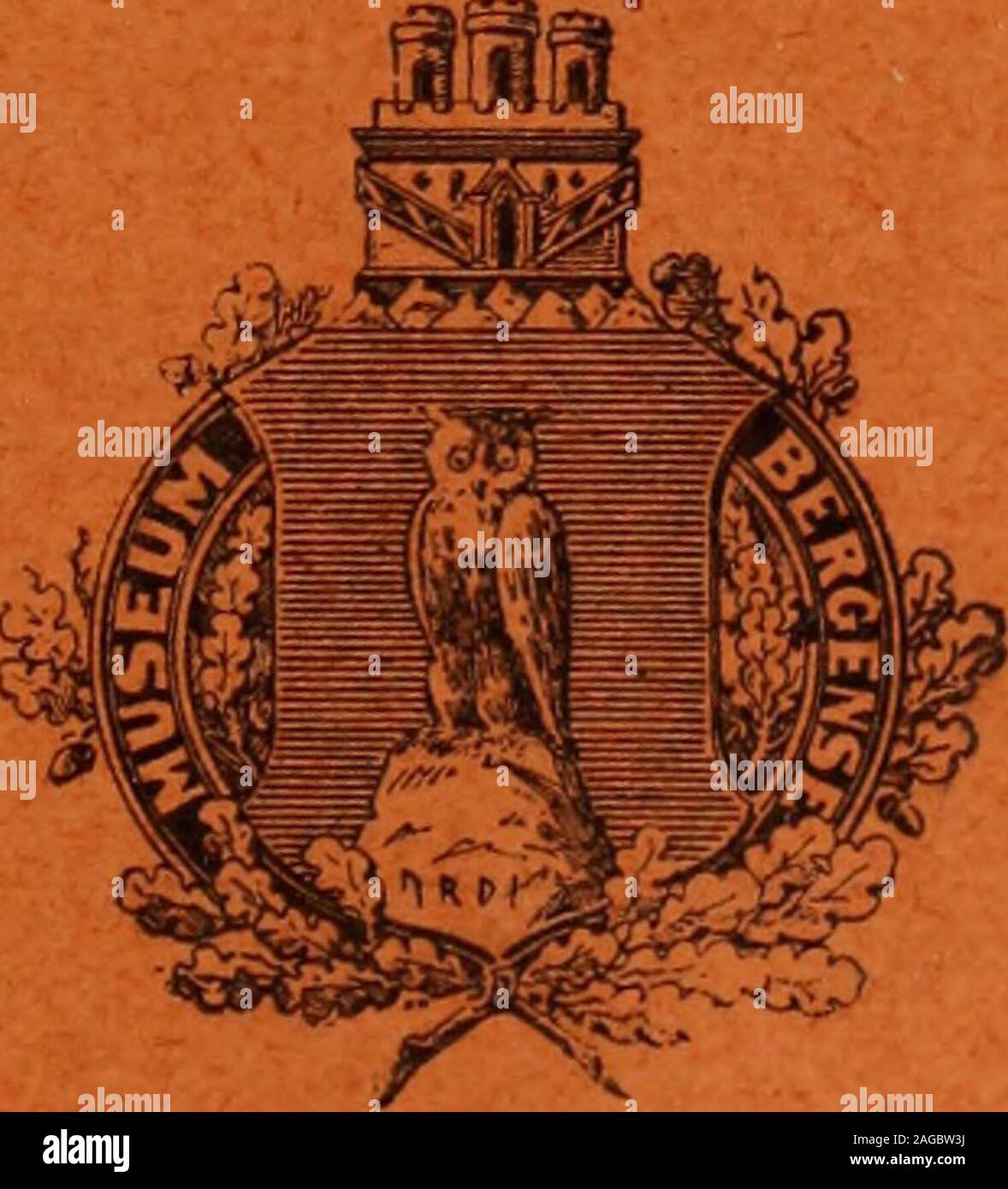 Goniaster Nidarosiensis High Resolution Stock Photography and Images ...