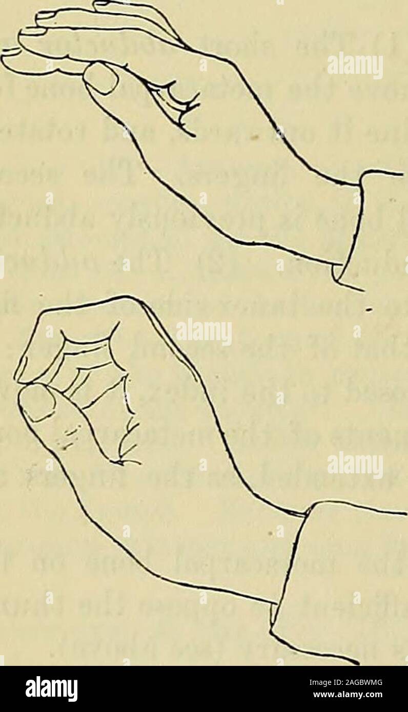 . A manual of diseases of the nervous system. he lastphalanges of the ...