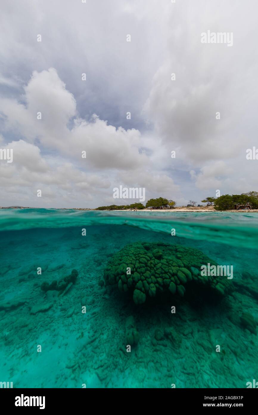 Vertical low angle shot of the ocean in Bonaire, Caribbean Stock Photo ...