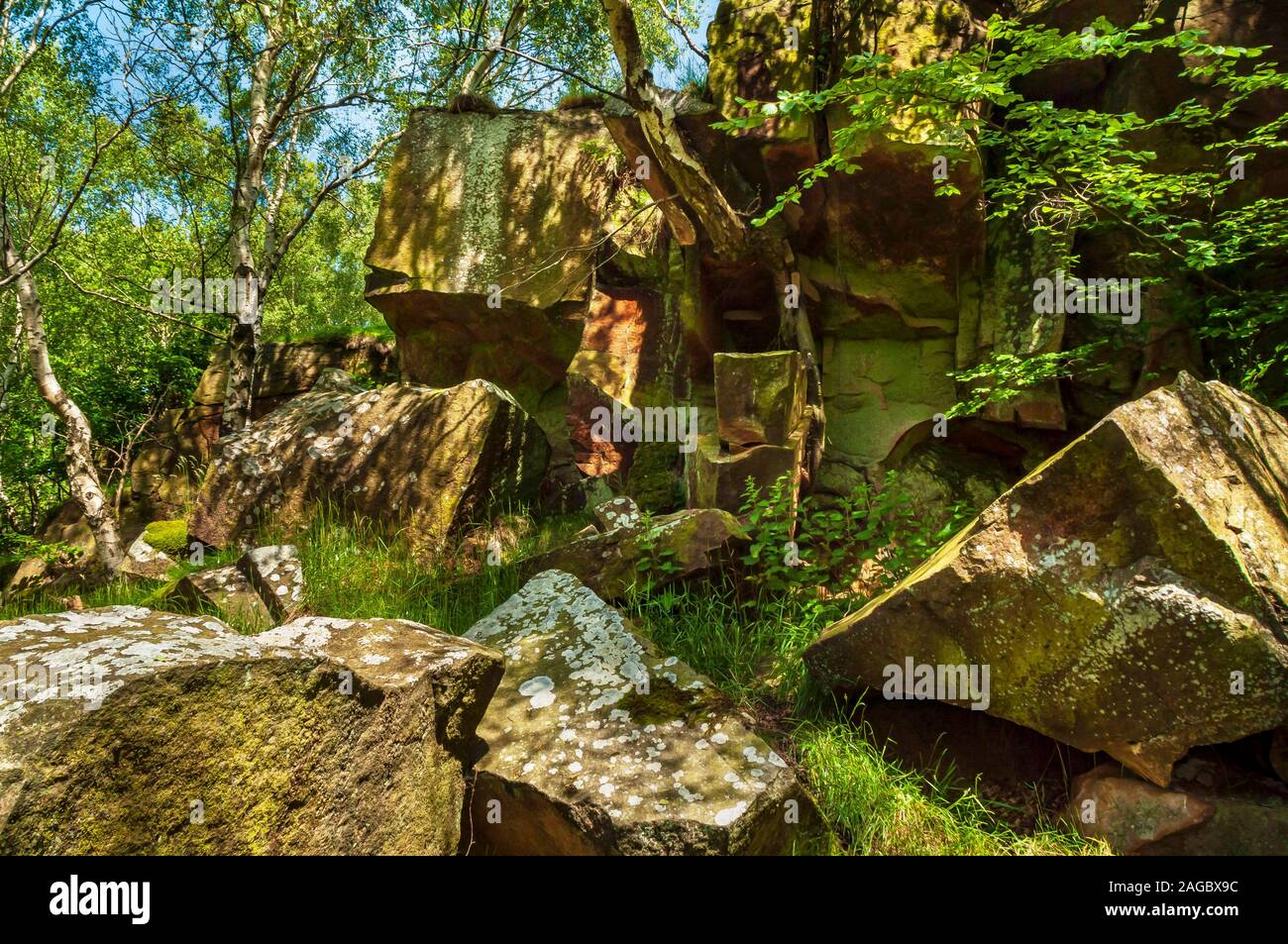 Orange-stained gritstone faces in bright sunshine silver birch trees in ...