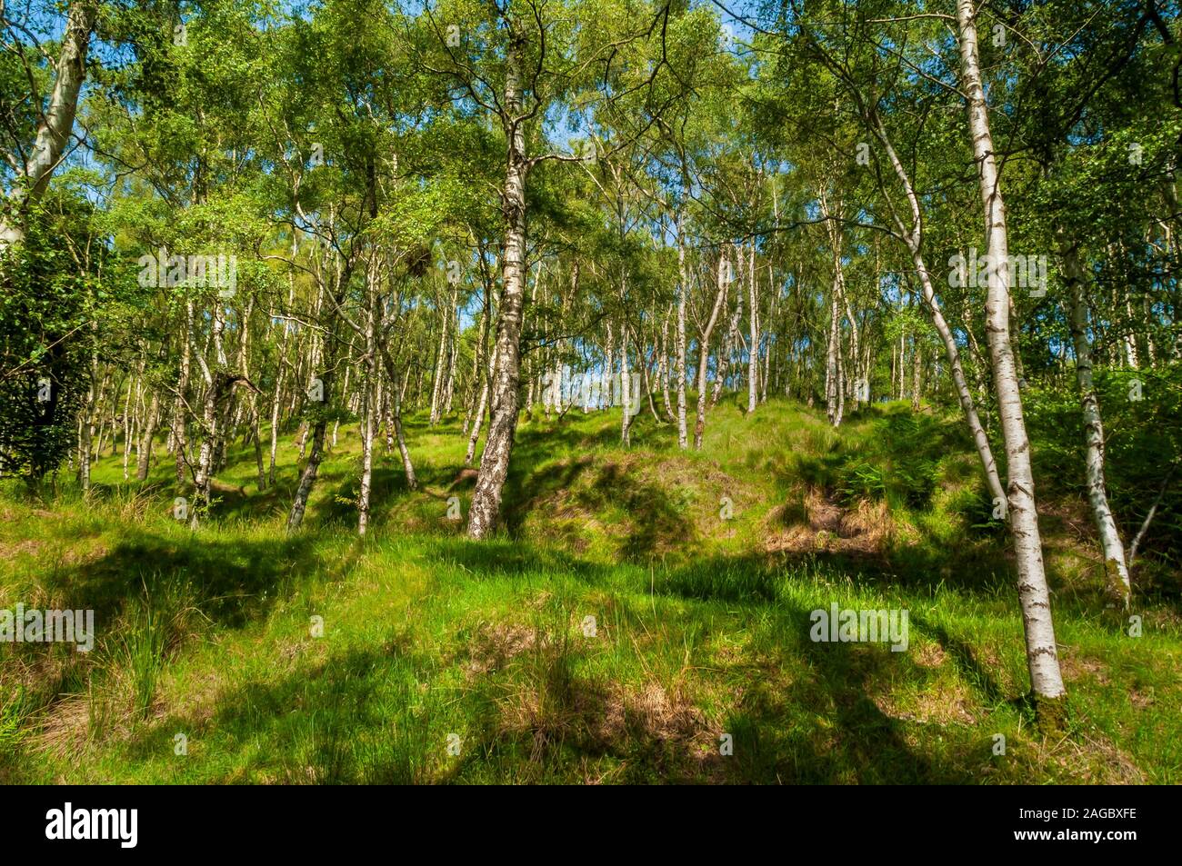 Peak forest tramway hi-res stock photography and images - Alamy