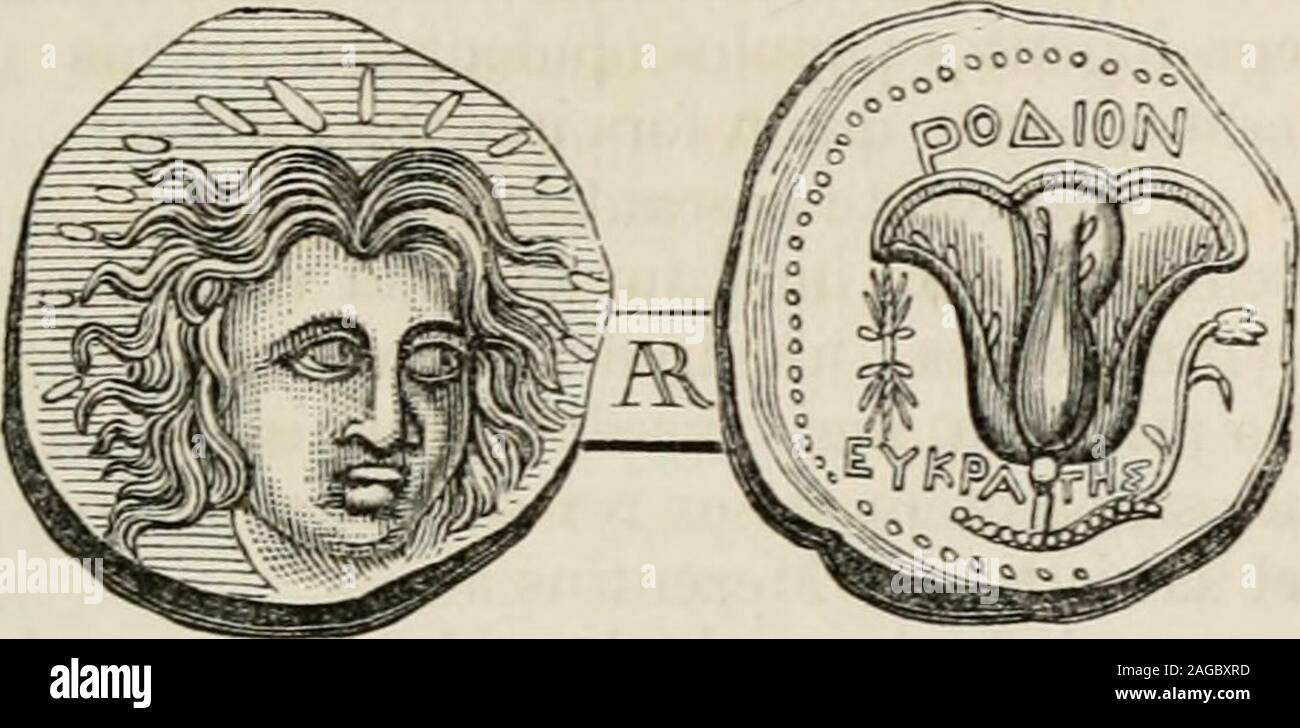 Specus hi-res stock photography and images - Alamy