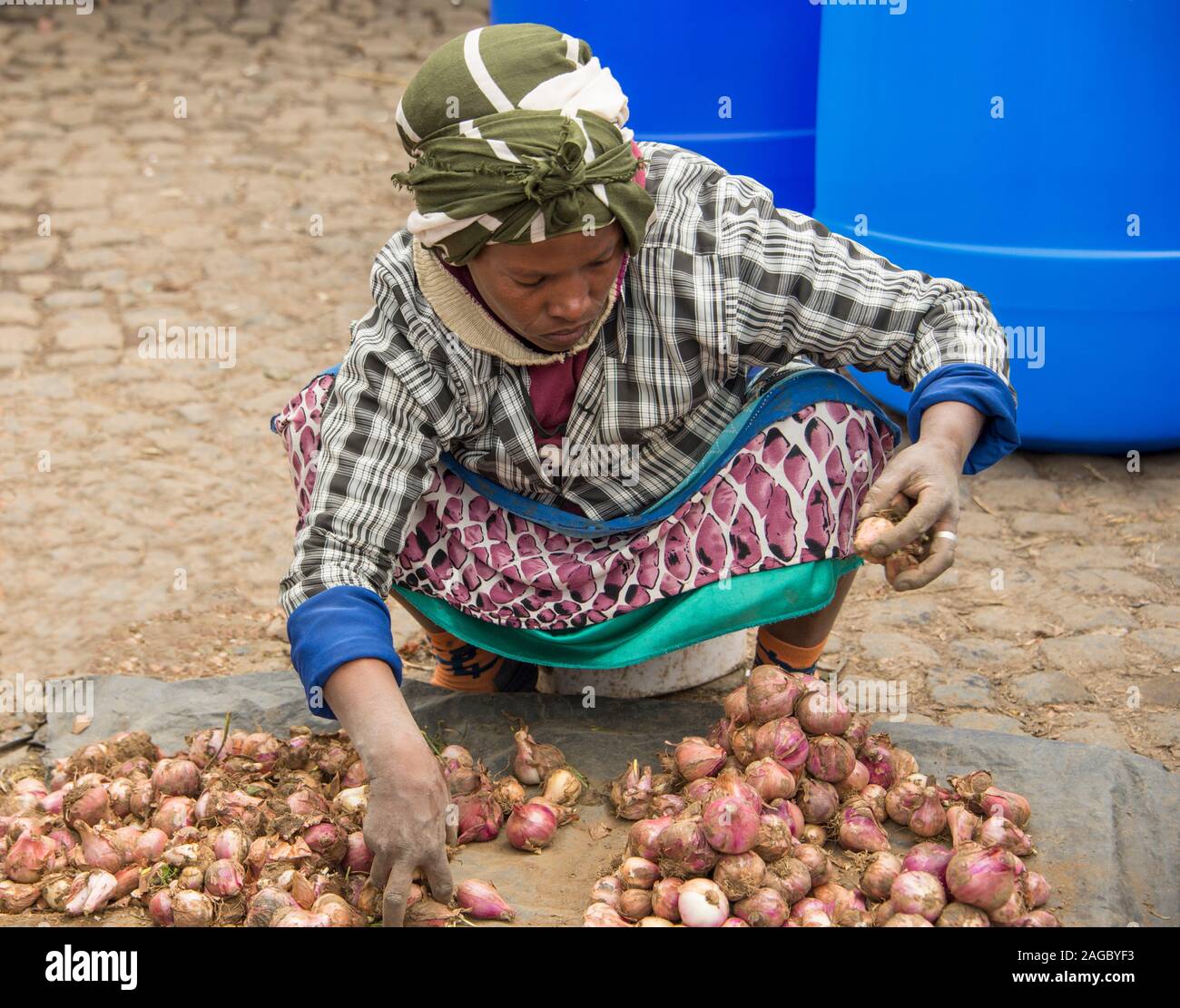 A Tradiional Ethiopian Woman Sellling Onions in the Merkato Market in ...