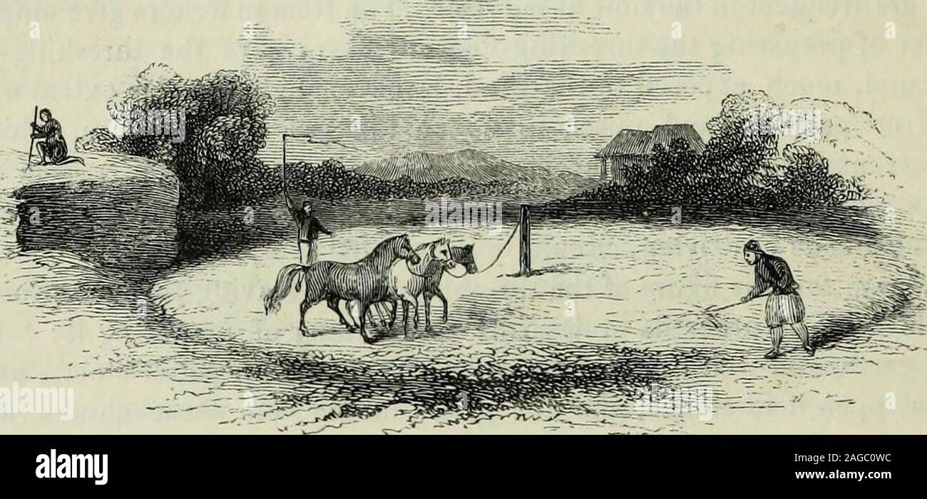 Terrible beating hi-res stock photography and images - Alamy