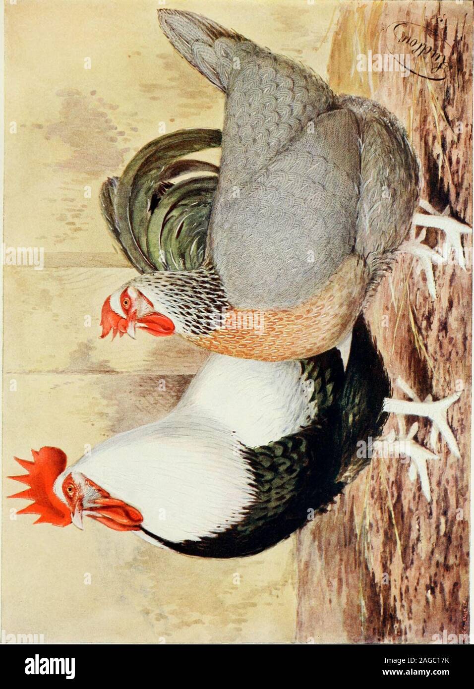 1815 club hi-res stock photography and images - Alamy