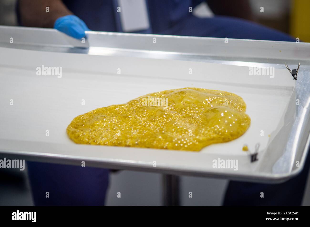 Butane Hash Oil Extractor