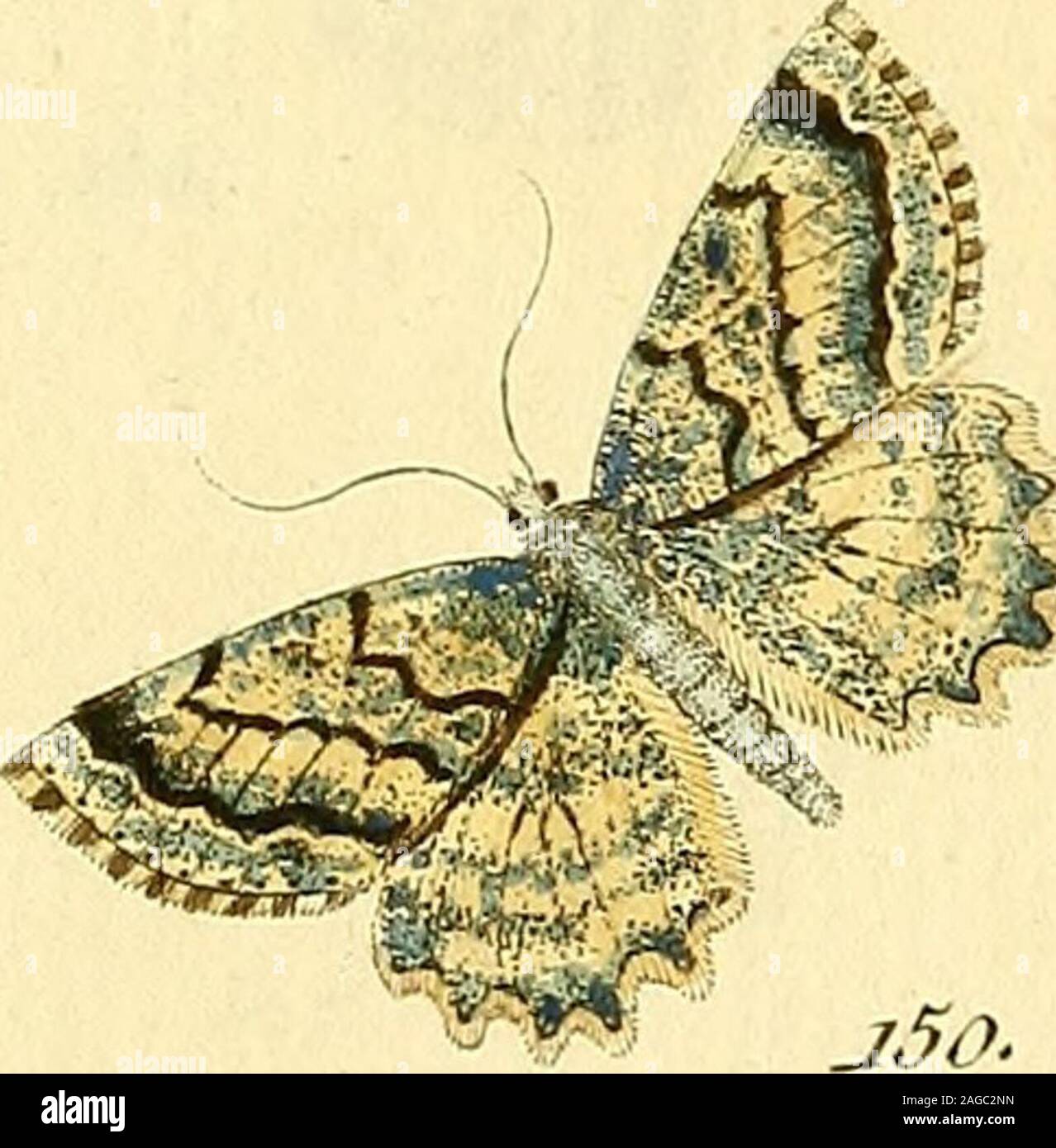 Cara f hi-res stock photography and images - Alamy