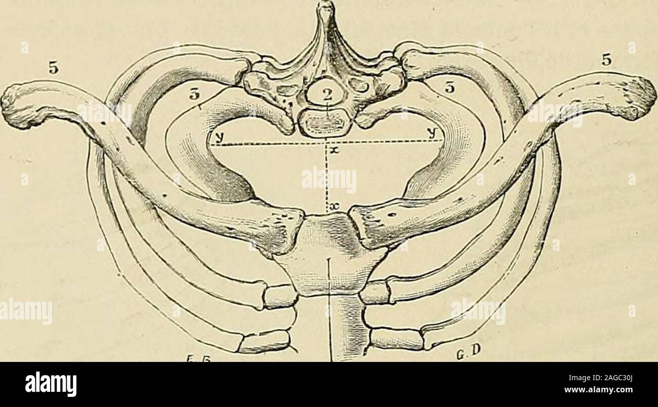 Fourchette en or hi-res stock photography and images - Alamy