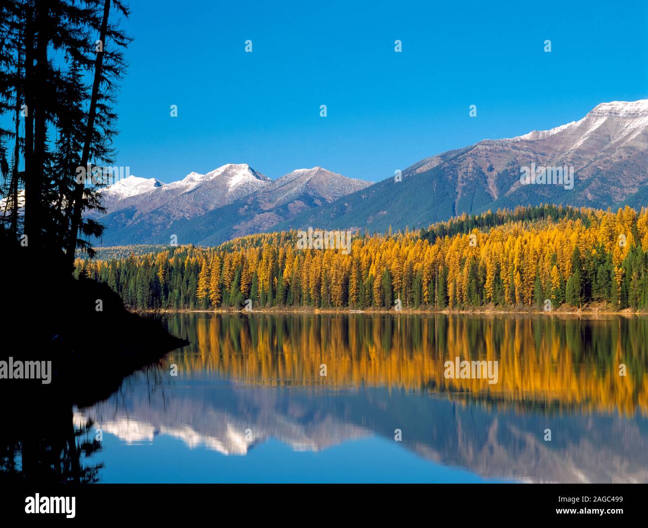 lake alva and larch in autumn below the swan range near seeley lake ...