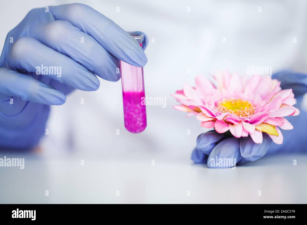 Skin care. Cosmetic science holistic plant lab organic skin Stock Photo ...