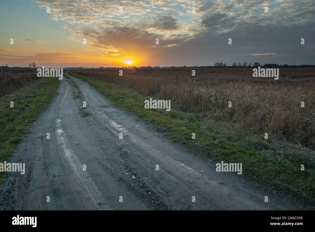 Dirt road, tall grasses and orange sunset, evening clouds Stock Photo ...