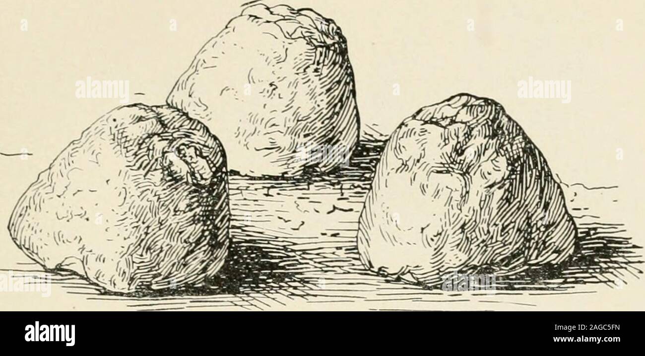 Stonebottom hi-res stock photography and images - Alamy