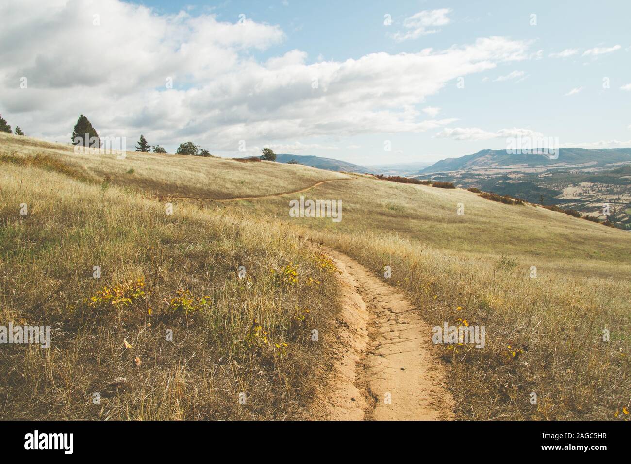 Narrow pathway in the middle of a grassy field under the beautiful sky ...