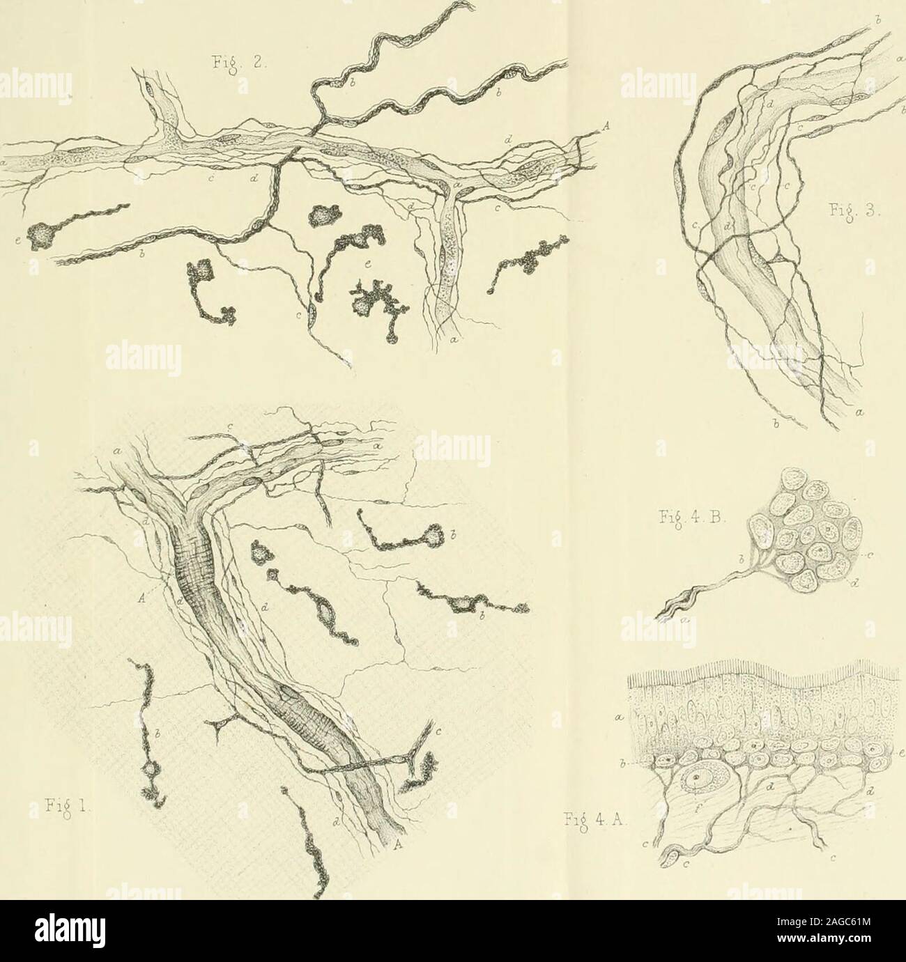 Gold nitrate hi-res stock photography and images - Alamy