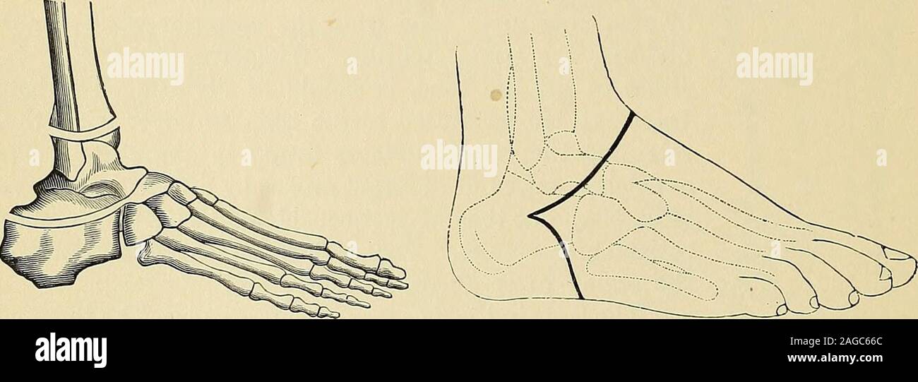 Horizontally saw hi-res stock photography and images - Alamy