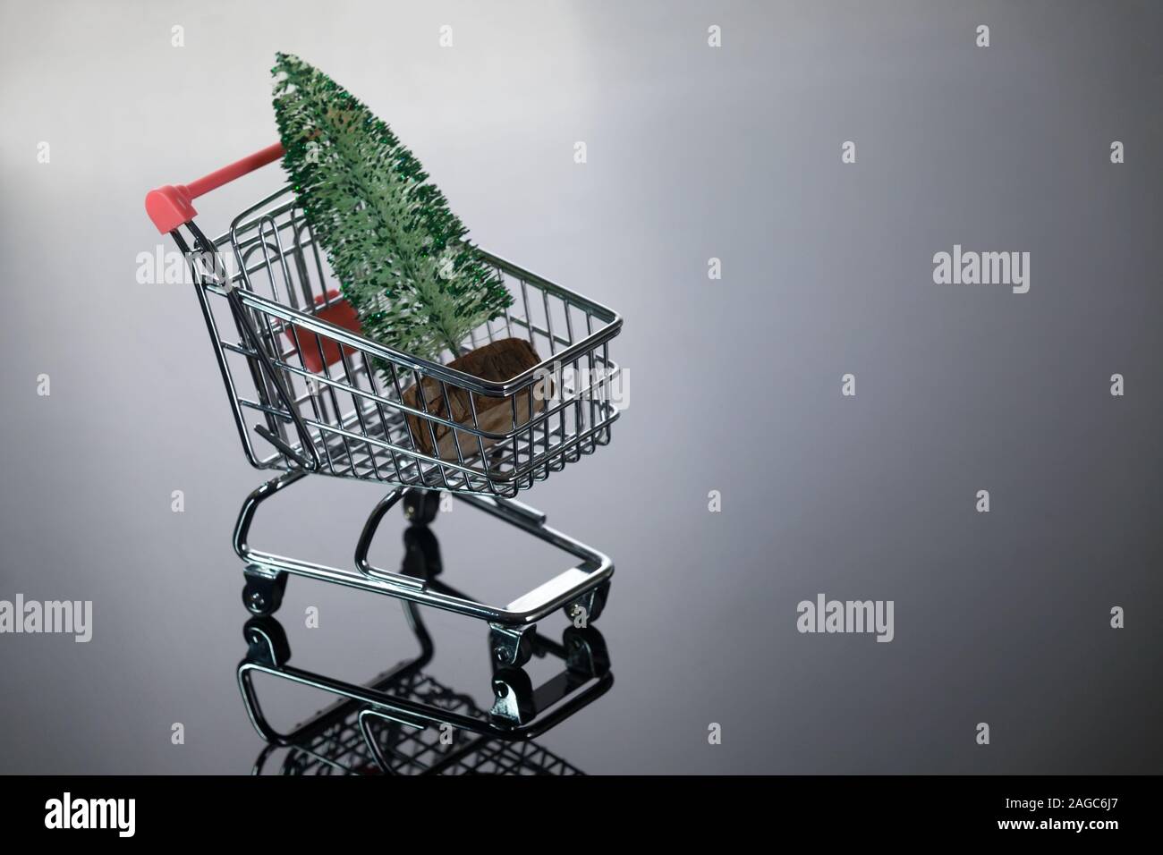Top Angle View of Mini Christmas Tree Inside Tiny Shopping Trolley on ...