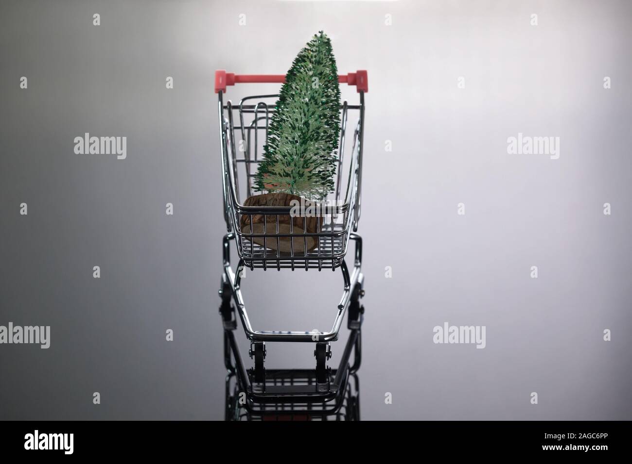 Front Top View of Mini Christmas Tree Inside Tiny Shopping Trolley on ...