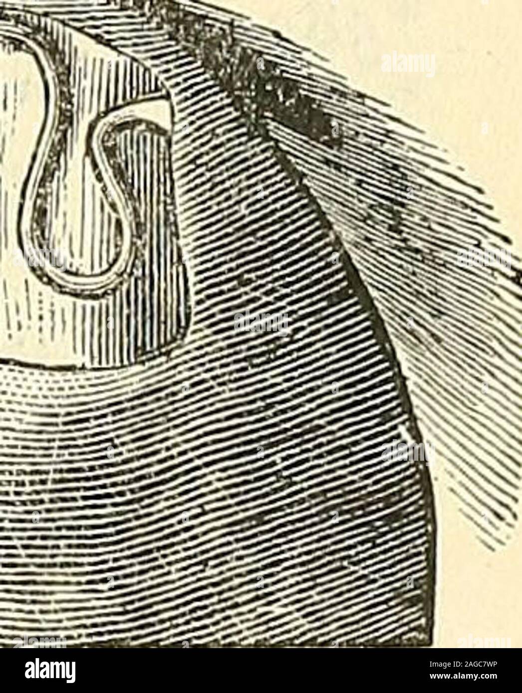 Inverted trusses hi-res stock photography and images - Alamy