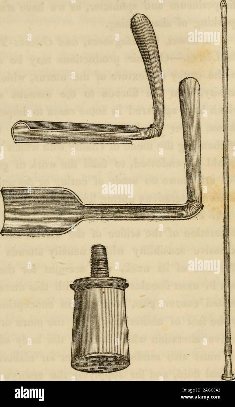 Coition hi-res stock photography and images - Alamy