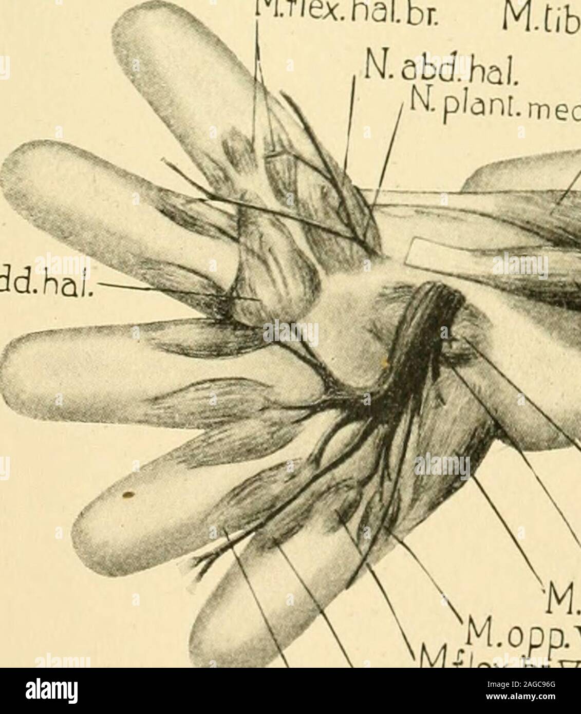 Roc h hi-res stock photography and images - Alamy