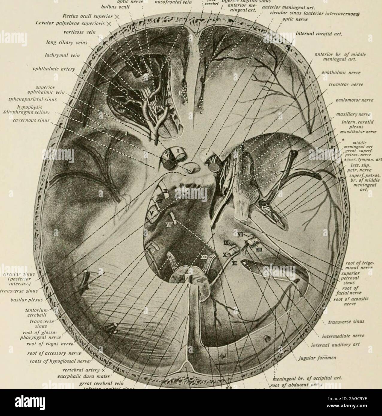 . Local and regional anesthesia; with chapters on spinal, epidural ...