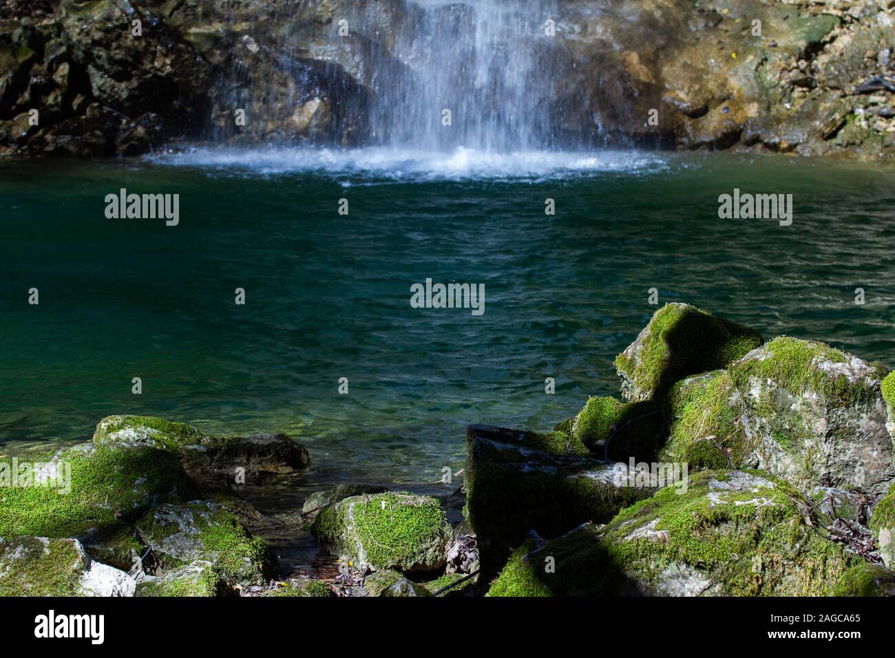 Butori hi-res stock photography and images - Alamy