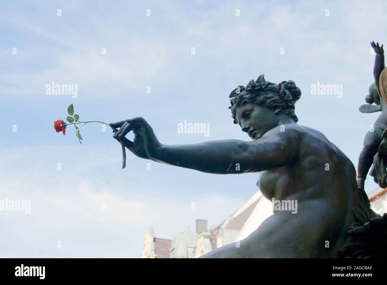 the rose in the statue Stock Photo - Alamy