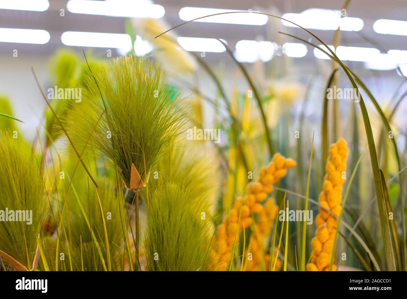 Artificial plant with a fluffy green whisk for interior design ...