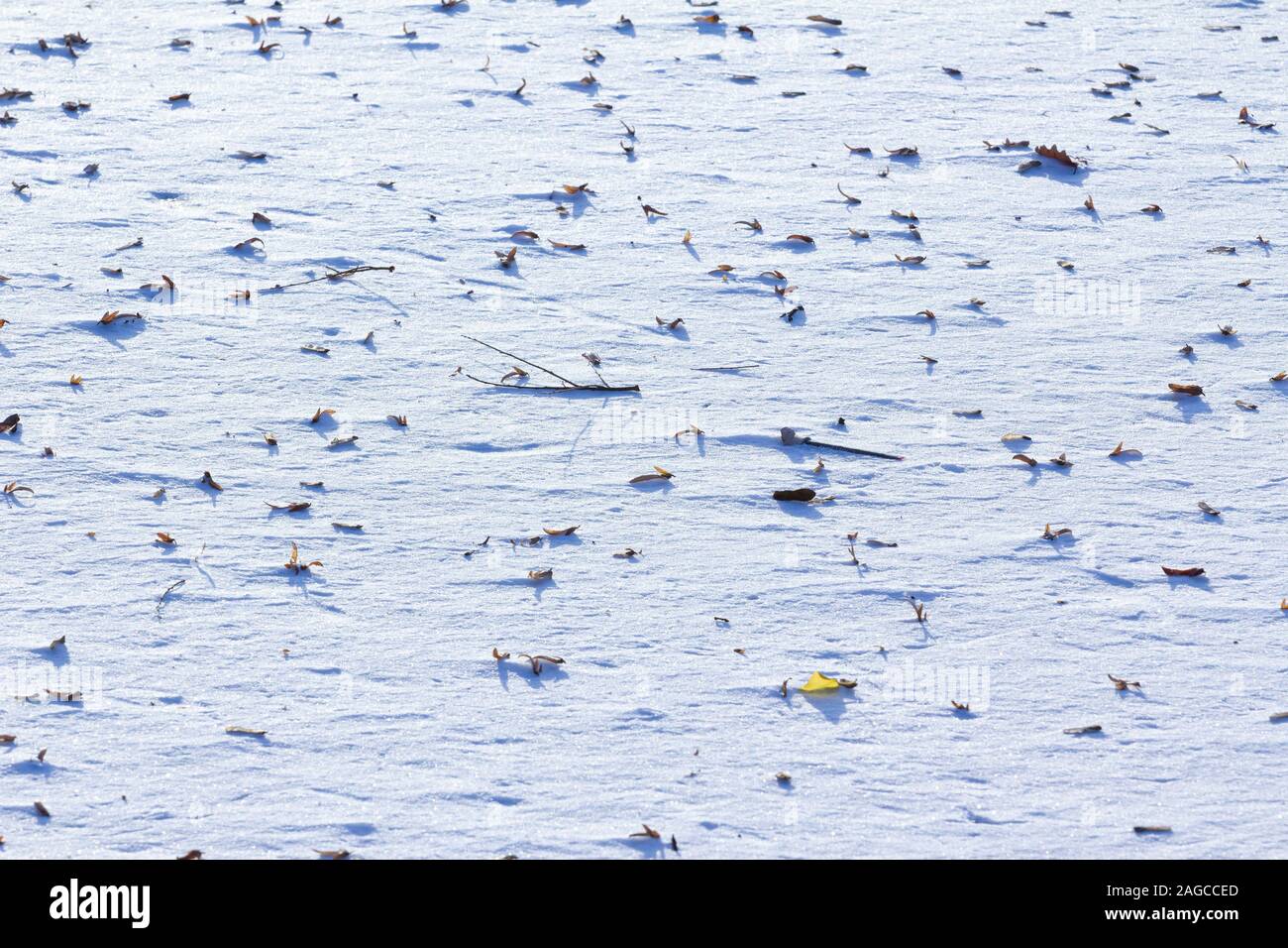 High angle shot of beautiful snow textures with fallen dry leaves Stock ...