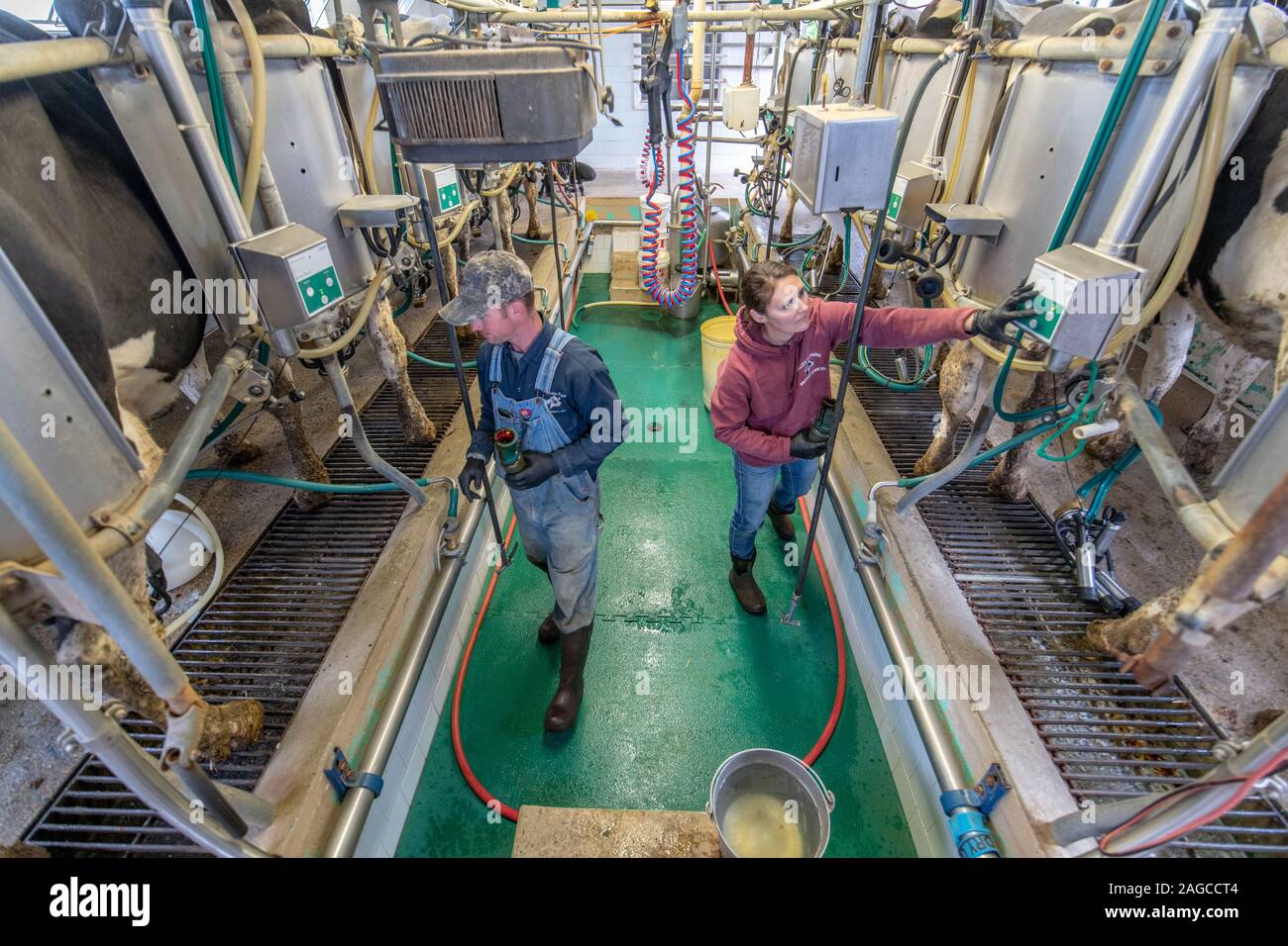 Parlor workers hi-res stock photography and images - Alamy