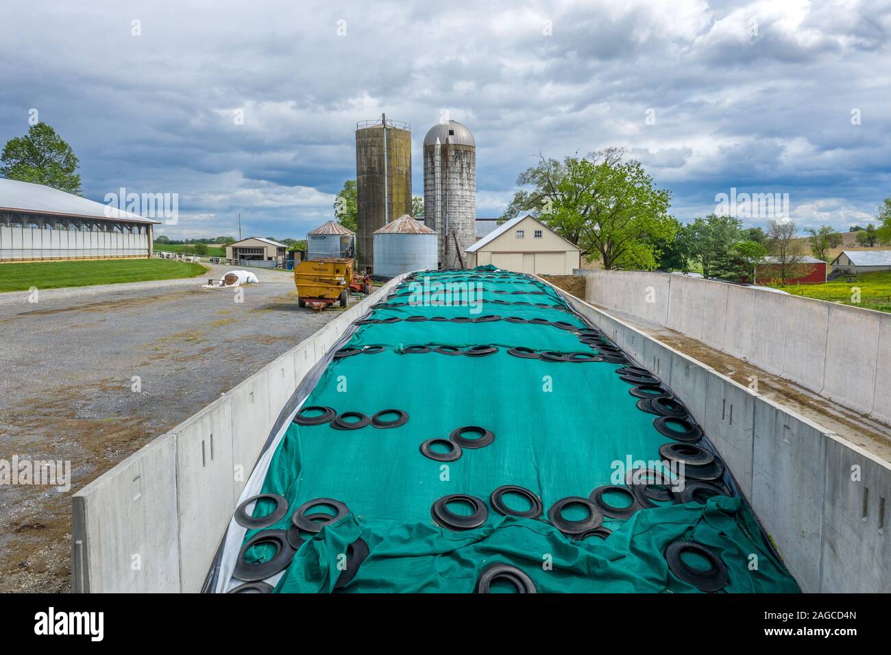 Trench silo storing feed , Middletown, Maryland, USA Stock Photo - Alamy