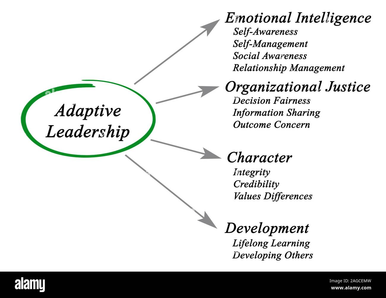 Diagram Adaptive Leadership Stock Photo - Alamy