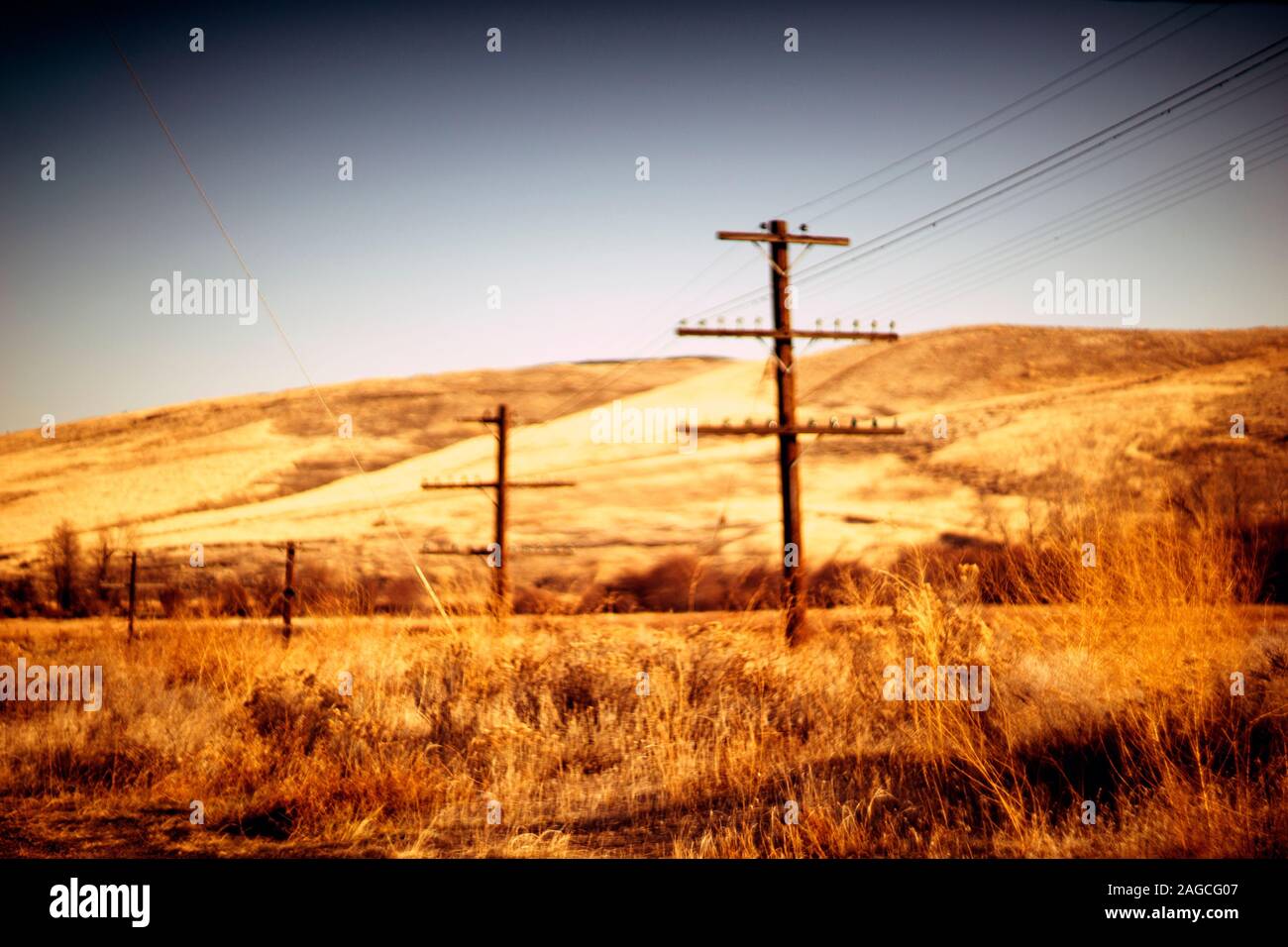 Utility poles in hi-res stock photography and images - Alamy