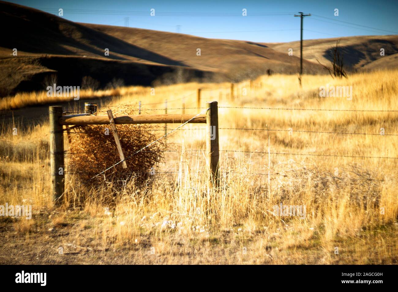 Tumbleweed fence hi-res stock photography and images - Alamy