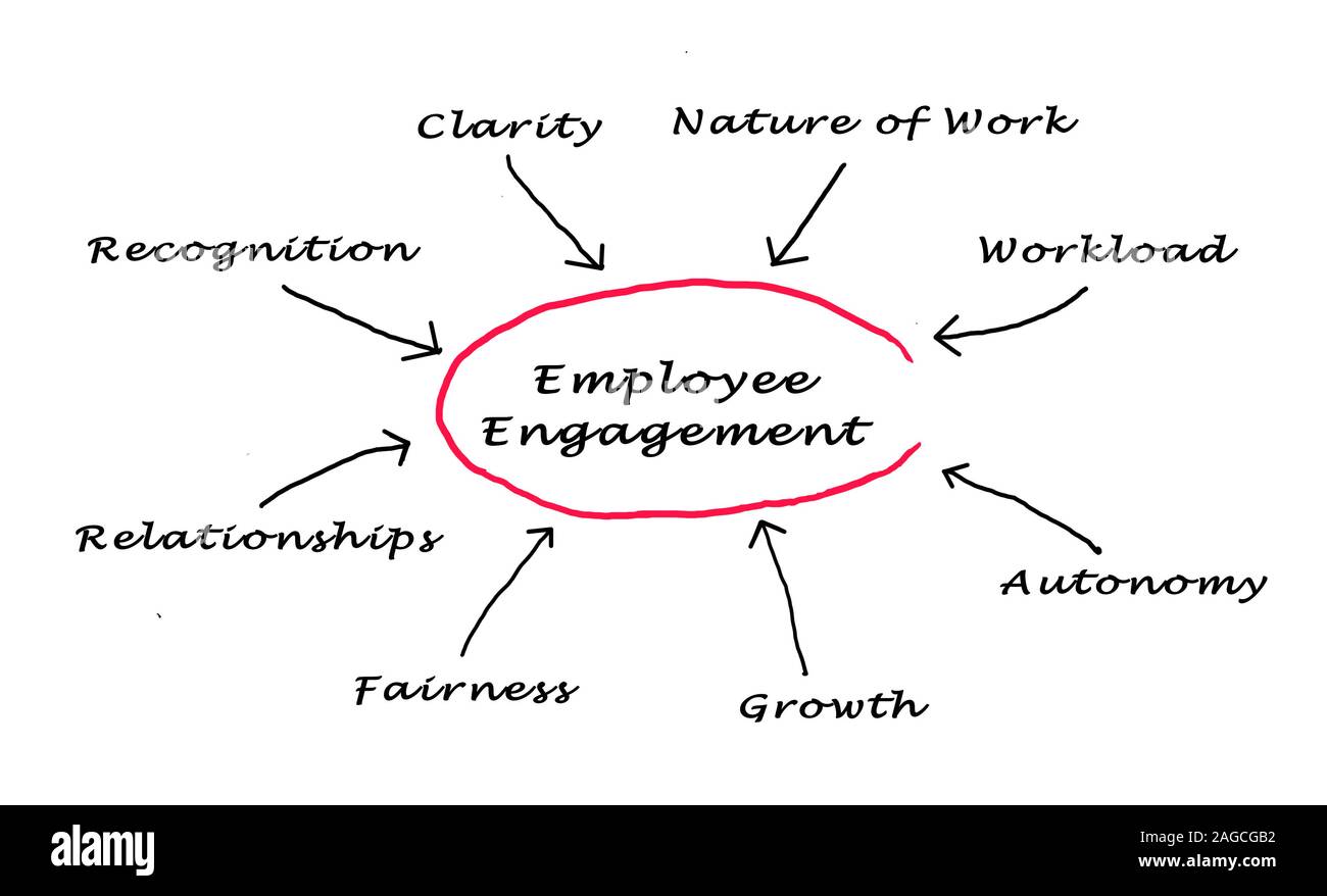 Employee engagement hi-res stock photography and images - Alamy