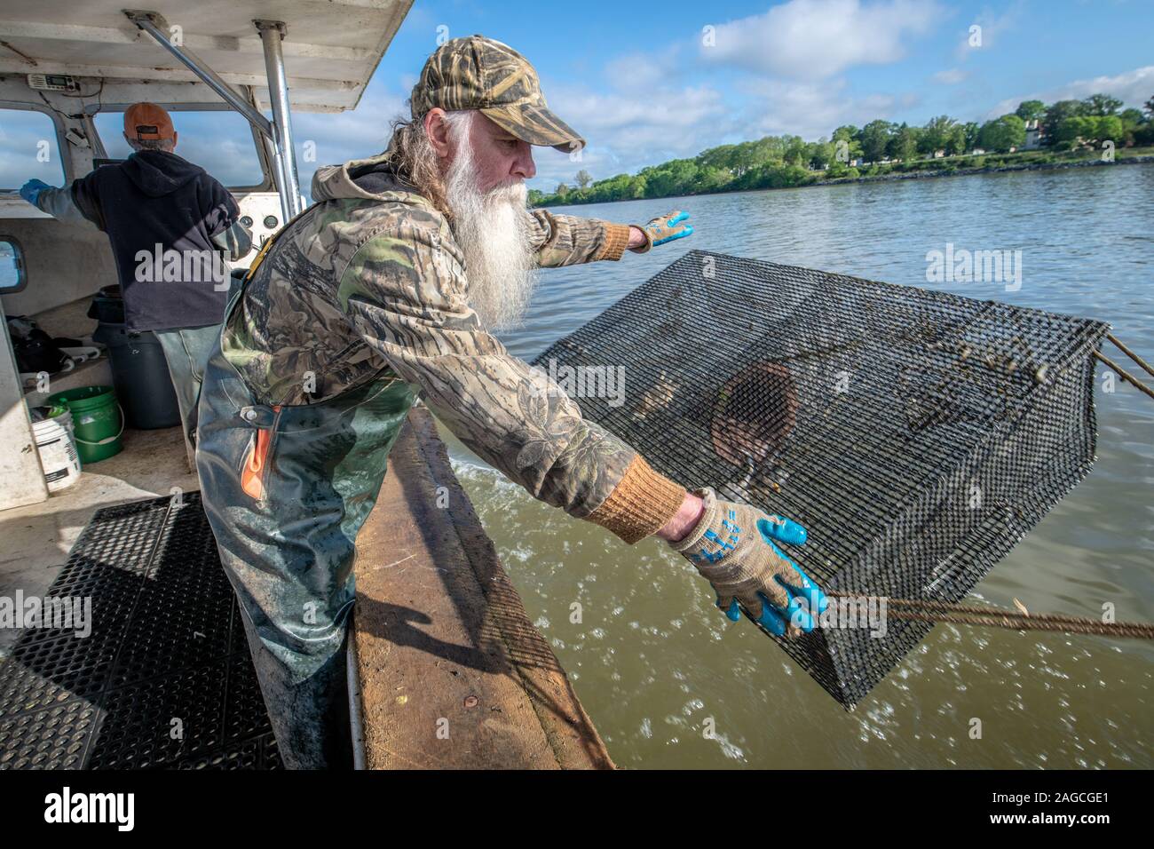Chesapeake bay seafood hi-res stock photography and images - Alamy