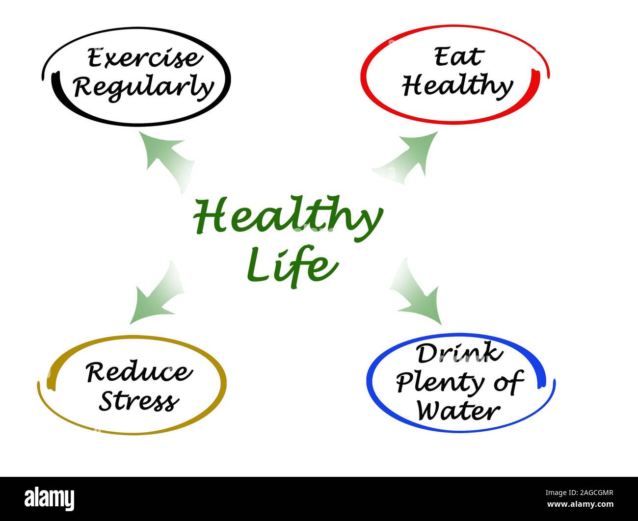 Healthy eating diagram Cut Out Stock Images & Pictures - Alamy