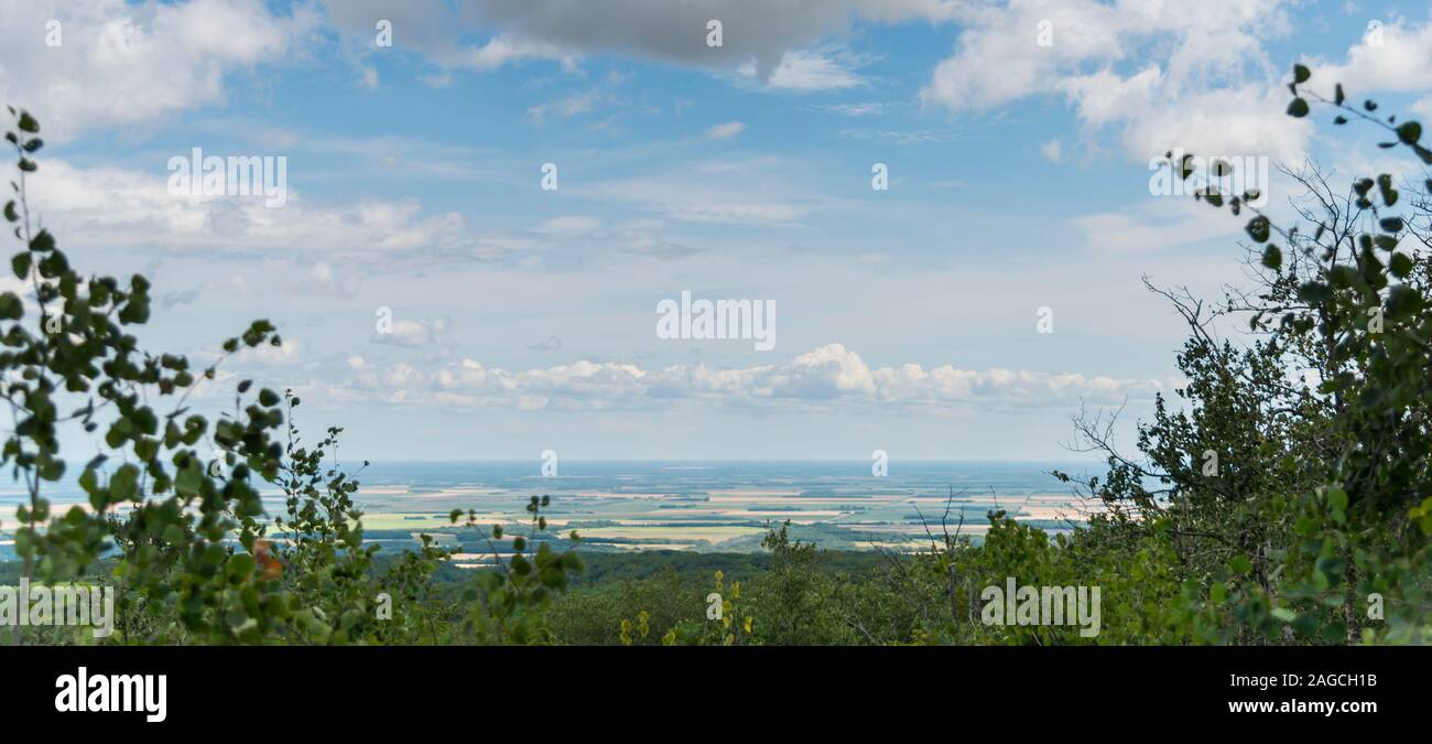 View of the Manitoba prairie framed by lush forest growth in Riding ...
