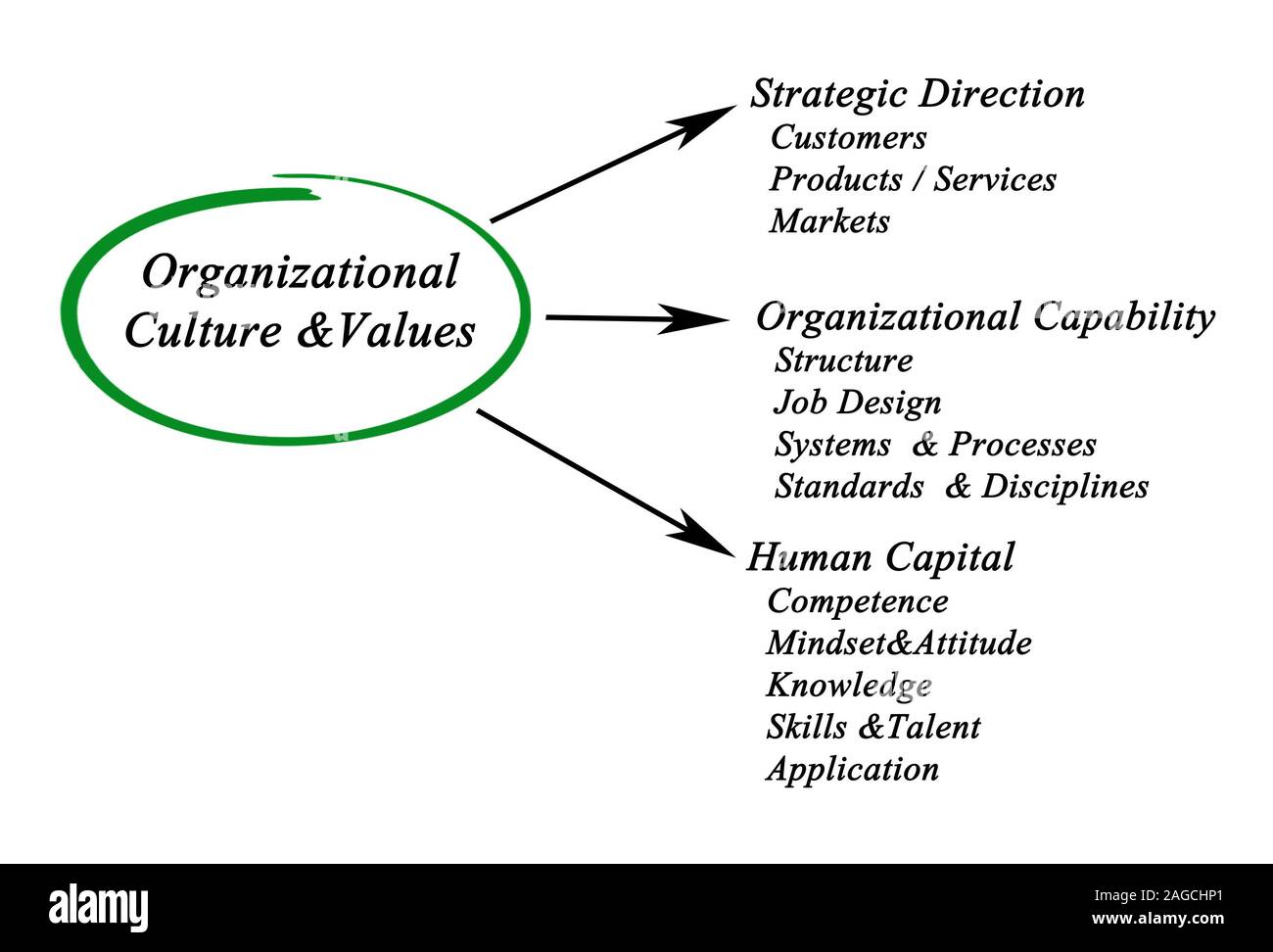 Organizational processes hi-res stock photography and images - Alamy