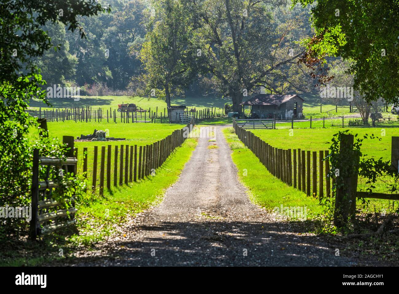 Farm in North Central Florida Stock Photo - Alamy