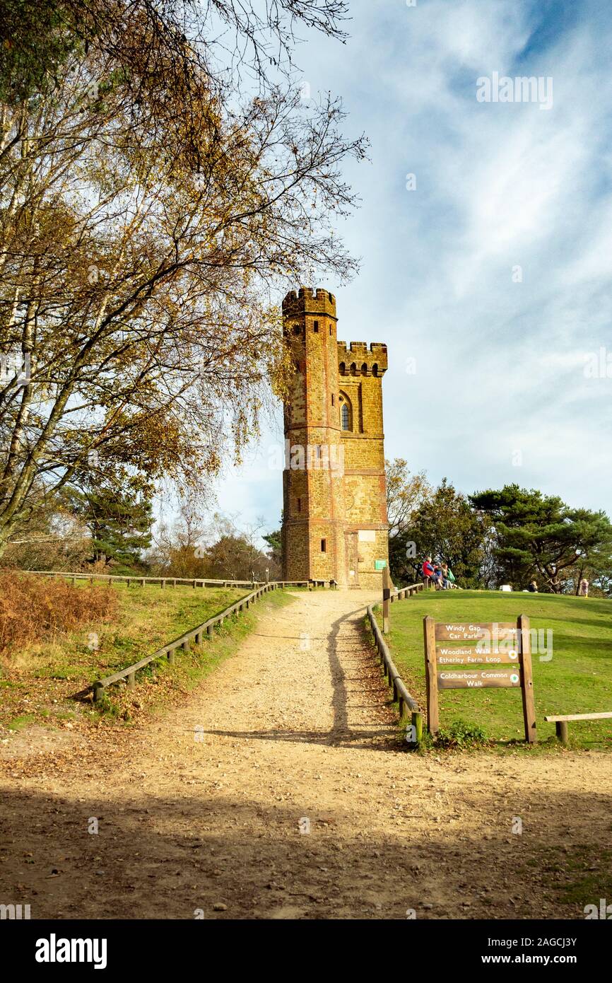 Leith Hill Tower, Surrey Hills second highest point on the hills Stock ...