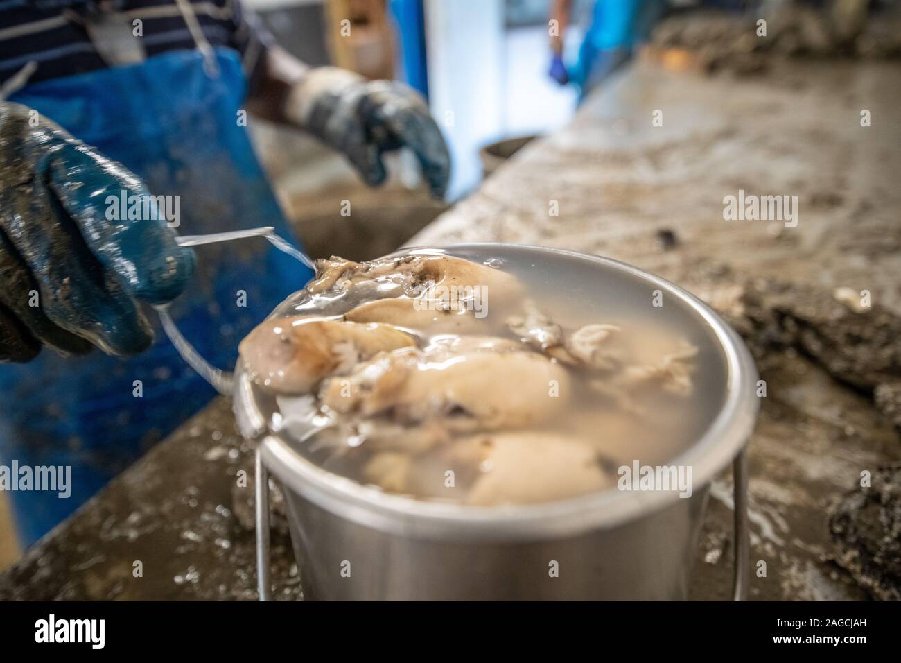 Bucket of oysters hi-res stock photography and images - Alamy