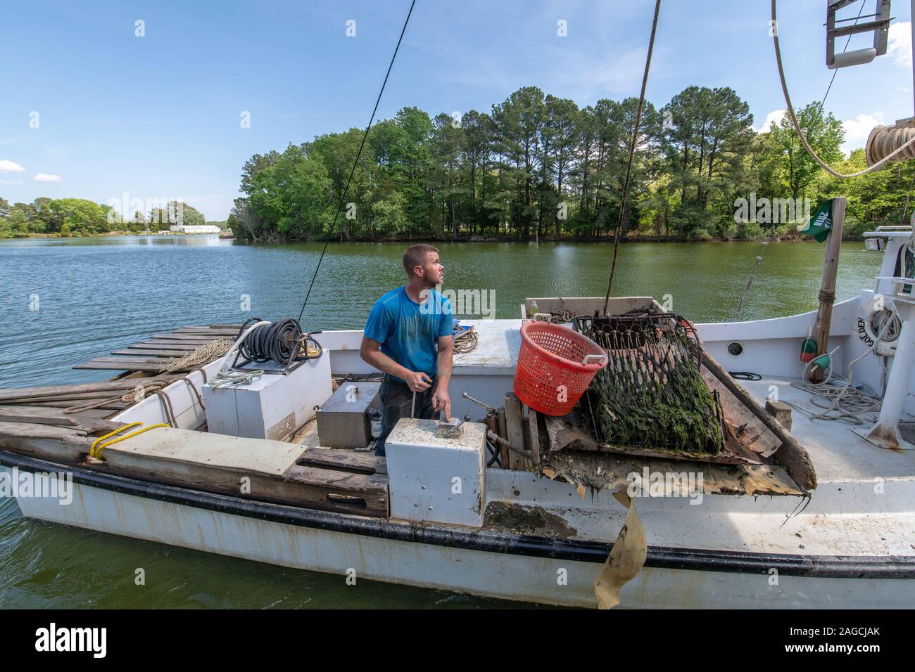 Waterman operating machinery on a boat , Tall Timbers, Maryland, USA ...