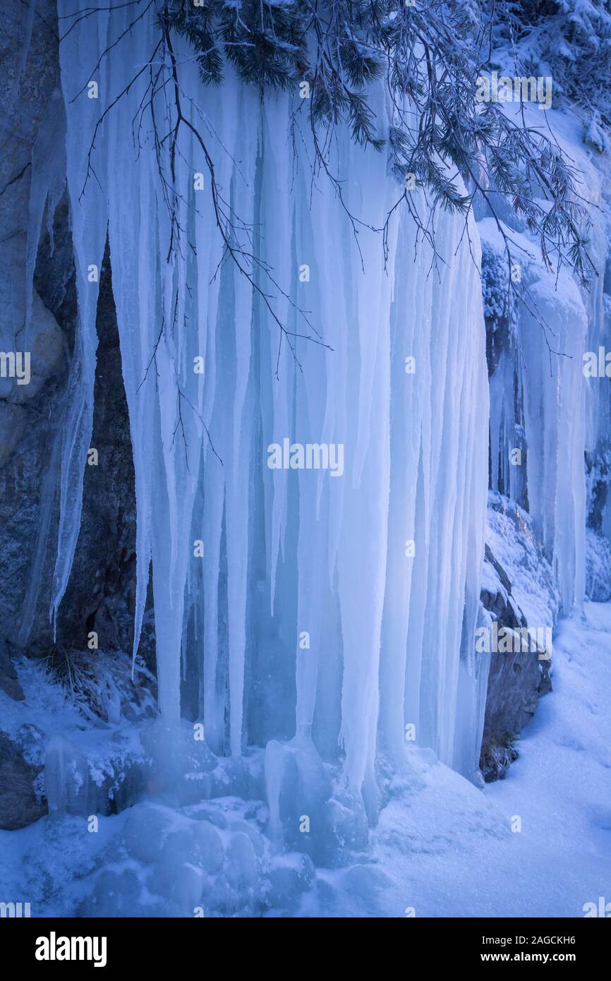 Large icecycles hanging from a cliff wall outside in the winter Stock ...