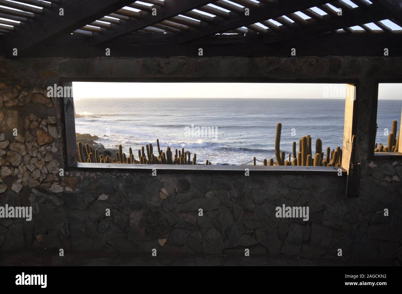 Window with cacti on the front looking at the calm ocean waves Stock ...