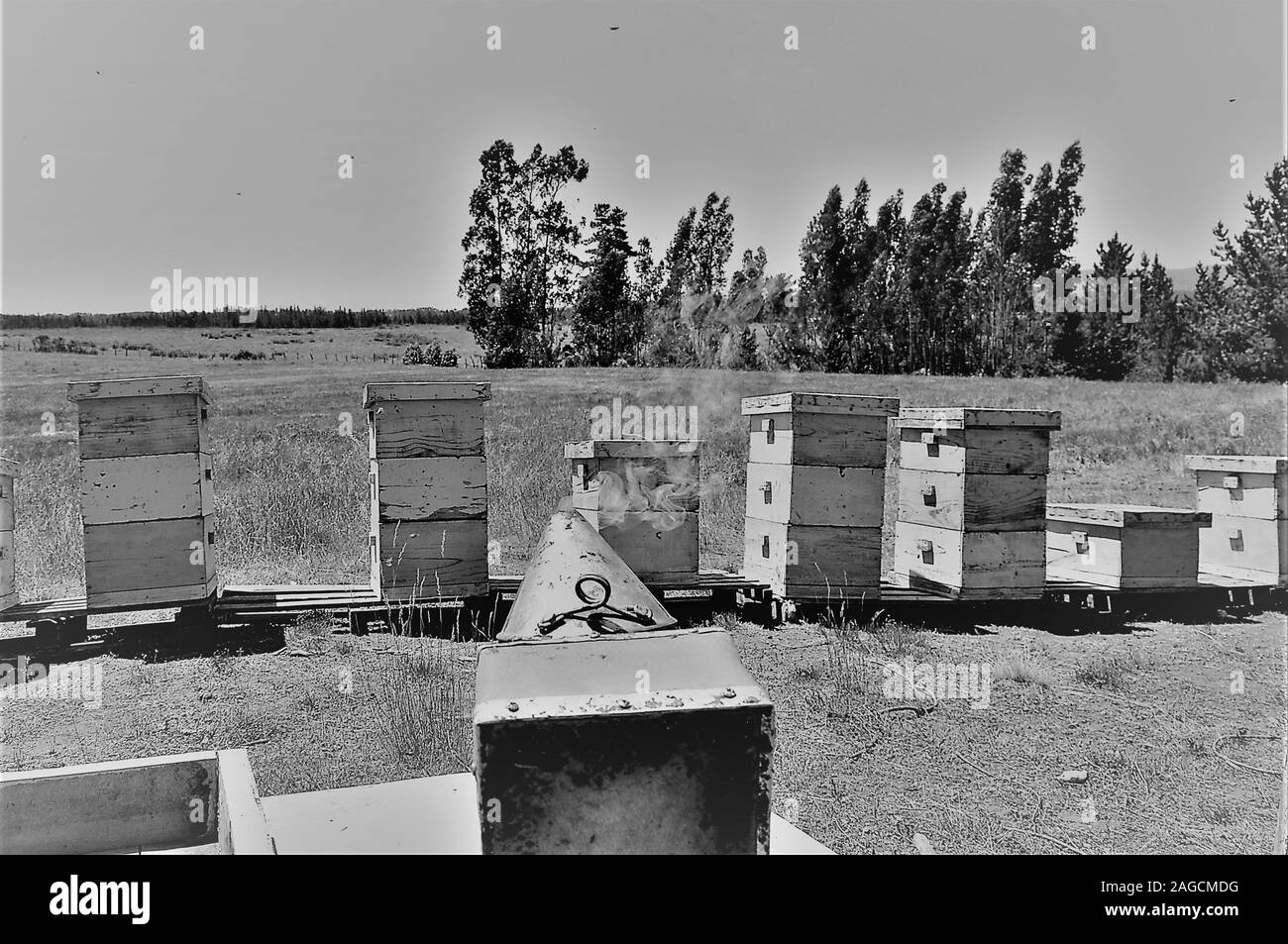 Bee hive in garden in Black and White Stock Photos & Images - Alamy